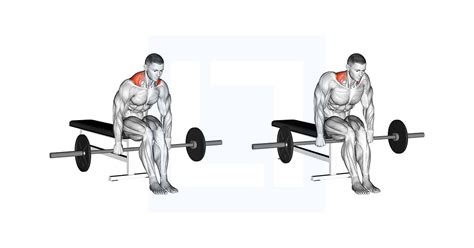 Weighted Inverted Row Guide Benefits And Form