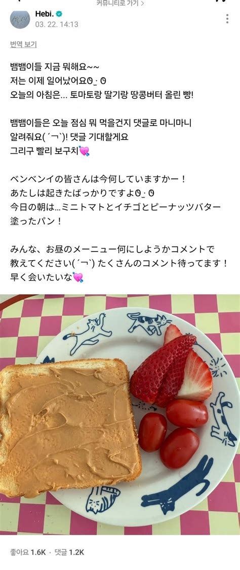 자기팬들 싫어서 졸업한 칸나헤비근황 ㅋㅋㅋ 버츄얼 스나 미니 갤러리