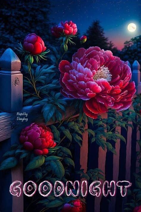 Пин от пользователя ☮ Linda 🕊🌹🕊 Gowen ☮ на доске Good Night 1 🥱🌙 в 2024 г