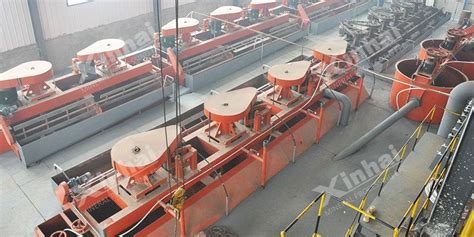 Exploring The Different Phosphate Flotation Processes Direct Reverse