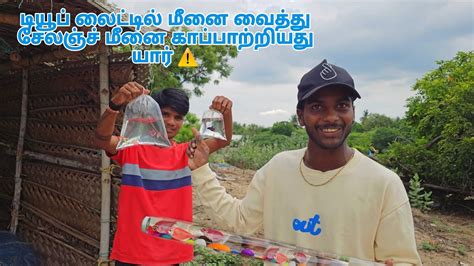 டியூப் லைட்டில் மீனை வைத்து சேலஞ்ச் உடைத்த நண்பர் யார் வழக்கு மீன்கள் Youtube