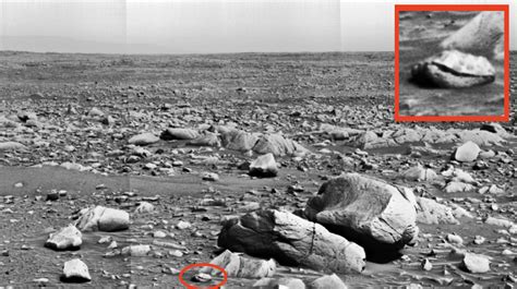 Ufo Sightings Daily Giant Clam Fossil Found On Mars Proof Of Ancient