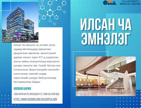 Cha Инчон болон Кимпо нисэх онгоцны буудлуудад ойрхон байрладаг Илсан Ча эмнэлэг нь хөхний