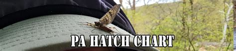 Pennsylvania Hatch Chart Sky Blue Outfitters Guide Service