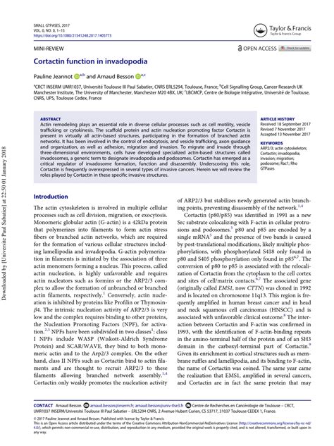 Pdf Cortactin Function In Invadopodia