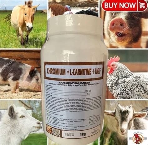 Chromium L Carnitine Ugf Lean Meat Enhancer Powder Feed Premix 1kg Lazada Ph