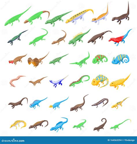 Lizard Icons Set Isometric Style Stock Vector Illustration Of