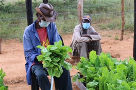 Poverty Eradication Projects Flop Mmegi Online