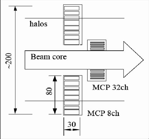 Schematic Of The Proposed Mcp Detector At J Parc The Central Detector Download Scientific