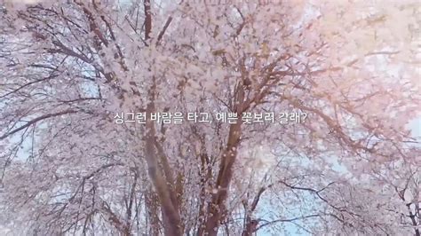 오늘 꽃놀이 갈래 날씨도 참 좋다던데☀️ 사람들이 잘 모르는 봄 노래🌸 런디 꽃놀이 Youtube