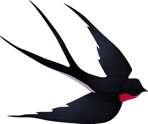 Png
