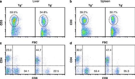 Flow Cytometry Analysis Of Lymphoid Cells From Liver And Spleen Of Download Scientific Diagram