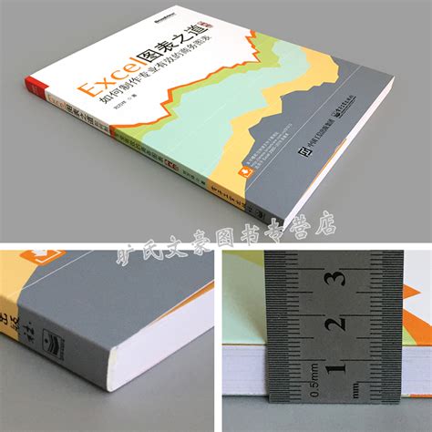 Excel图表之道如何制作专业的商务图表典藏版刘万祥著 Excel图表 Excel数据分析参考书打造专业商务图表图书籍 虎窝淘
