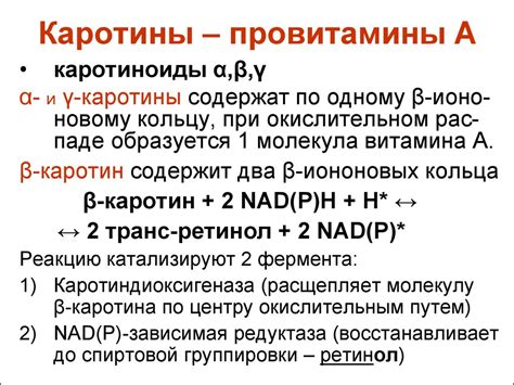 Витамины. Основные признаки витаминов - презентация онлайн