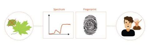 How Does Spectral Sensing Work Understanding The Basics Of