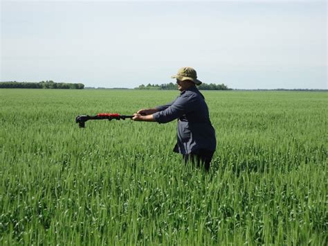 Vegetation Sampling Smap