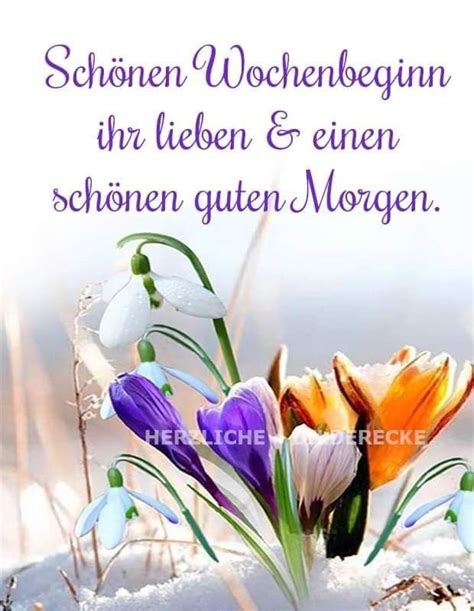 Pin von Gaby Spieltundbastelthier auf Montag Guten morgen gruss Schöne guten morgen sprüche