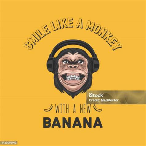 새로운 바나나로 원숭이처럼 미소 지으십시오 벡터 웃는 Dj 침팬지 원숭이와 헤드폰 타이포그래피 인용문 벽 예술을위한 재미있는 원숭이 머리 티셔츠 인쇄 포스터 만화 귀여운