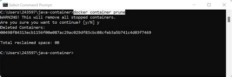 Remove Docker Containers By Id Name Or Date