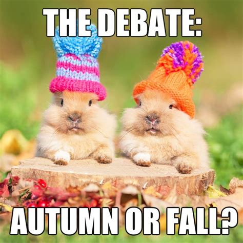 These 12 Fantastic Fall Memes Will Have You Smiling