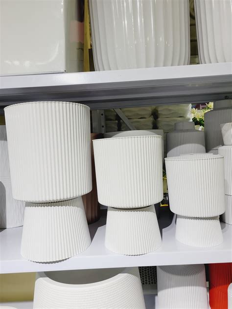 Аз жаргалтай цэцэгс Added A New Photo Аз жаргалтай цэцэгс