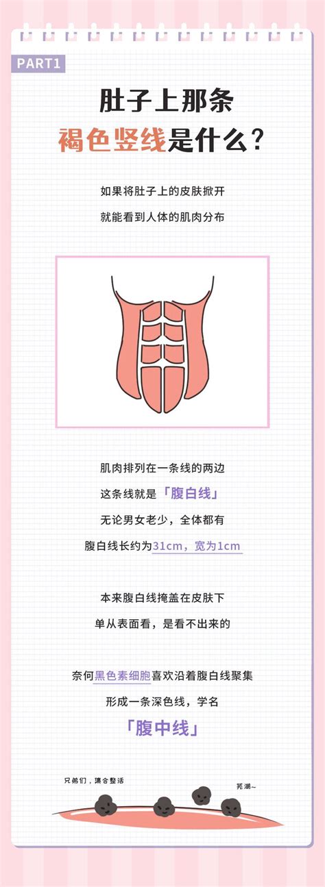没生过孩子，但为什么她肚子上却有一条线？！ 知乎