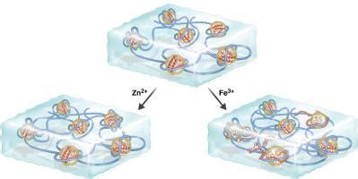 Chemical Engineering Journal X Mol