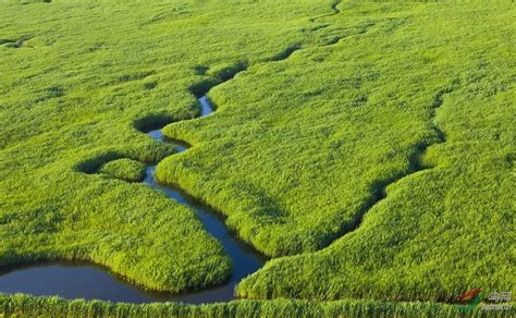 珍爱湿地，人与自然和谐共生澎湃号·政务澎湃新闻 The Paper
