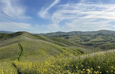 10 Best Hikes And Trails In Chino Hills State Park Alltrails