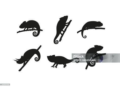 검은 색 실루엣 카멜레온의 세트는 나뭇가지에 앉아 도마뱀 파충류 카멜레온에 대한 스톡 벡터 아트 및 기타 이미지 카멜레온 실루엣 벡터 Istock