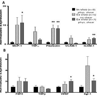 Cytokine And Adhesion Molecule Response To Ex Vivo Physiological Wss