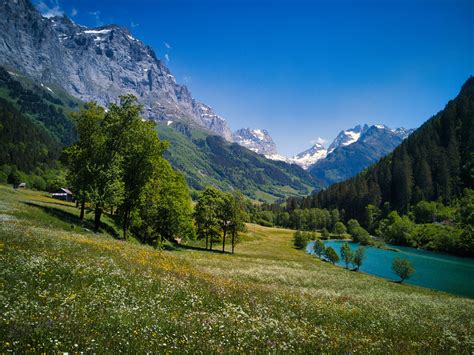 아름다운 산과 꽃 초원 풍경 · 무료 스톡 사진
