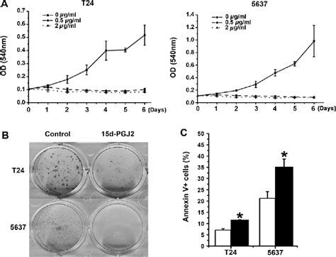 Figure from The combinatory effects of PPAR γ agonist and survivin