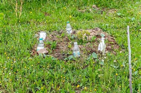 Et Si Vous Pouviez Faire Fuir Les Rats Avec Une Bouteille En Plastique
