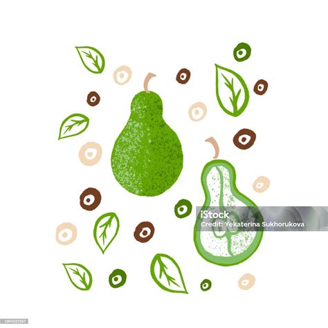 Ilustrasi Vektor Buah Pir Kerangka Pir Iris Untuk Poster Logo Label