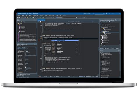 C Builder 12 Professional 期間ライセンス1年 EMBARC
