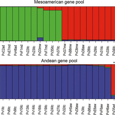 Population Structure Of Phaseolus Vulgaris L Germplasm Core Collection Download Scientific