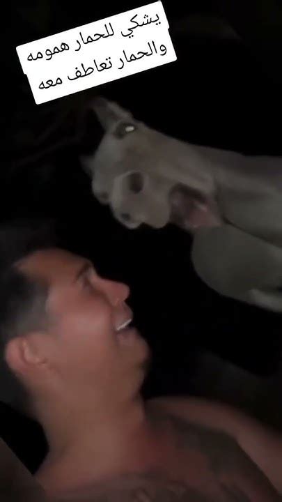 ضحك Cat اكسبلور Youtube