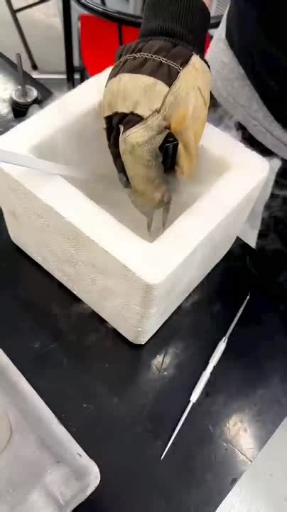 Video Automotive Engineering World On Linkedin Electronics Automotive Engineering Design