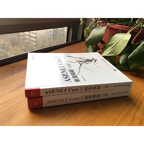 asp core 3框架揭秘 2册 蒋金楠著网络技术专业科技电子工业出版社 9787121384622正版图书 虎窝淘