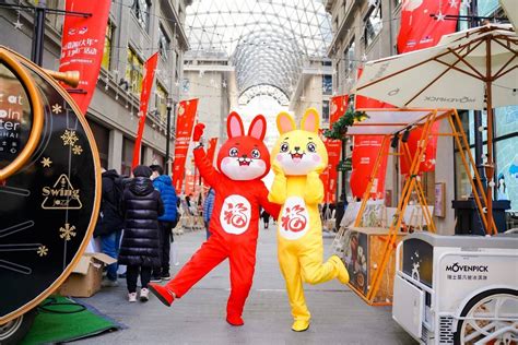 “我在嘉善过大年”（上海）主题推广活动暨嘉善县文旅消费品牌创建行动启动仪式在沪开启旅游