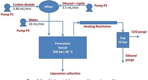 Figure 1 From Economic Analysis Of A New Business For Liposome