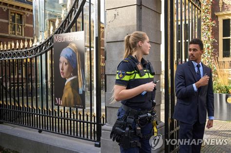 기후활동가 모네·반고흐 명화 이어 진주귀걸이 소녀 테러 노컷뉴스