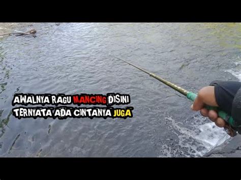 Awalnya Ragu Mancing Wader Disini Ternyata Ada Cintanya Juga YouTube