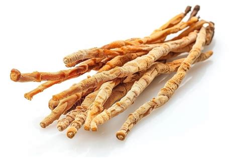 Premium Photo Cordyceps Sinensis Mushroom An Isolated White Surface