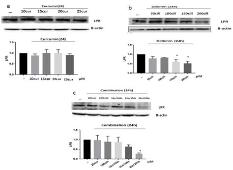 A Curcumin Did Not Induce The Reduction Of Leptin Receptor Expression