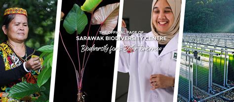 Forest Department Sarawak Forest Department Sarawak