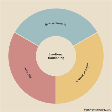 Emotional Intelligence Brain Structure