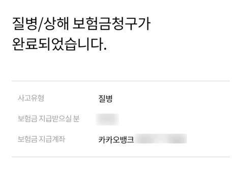 어린이 B형 독감 증상 및 수액 현대해상 실비 보험 청구 네이버 블로그