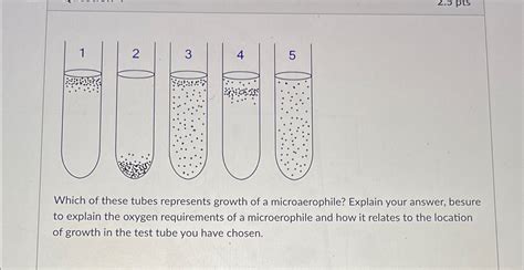 Solved Which Of These Tubes Represents Growth Of A